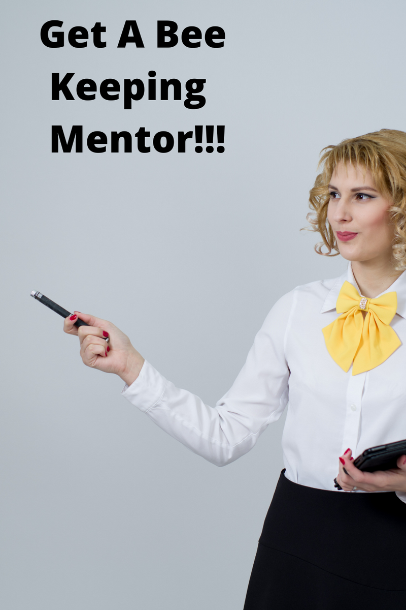 The Case for a Mentor – HeyHoney.biz